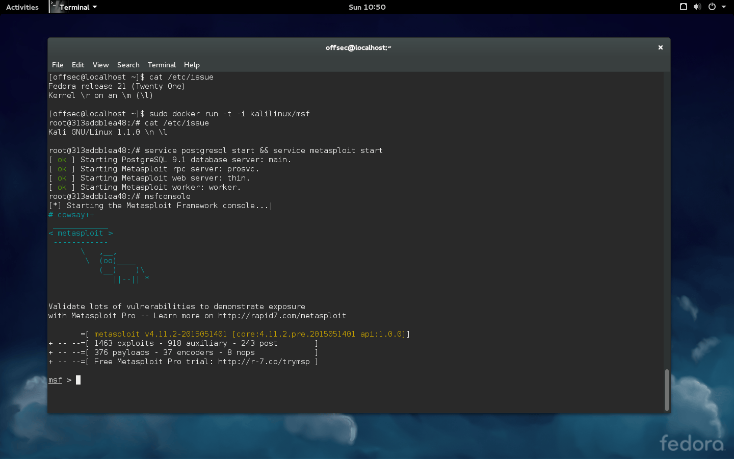 Setting up a Kali Linux Docker Image Setting up a Kali Linux Docker Image